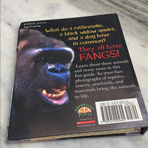Toys | Fangs Scholastic Book | Poshmark